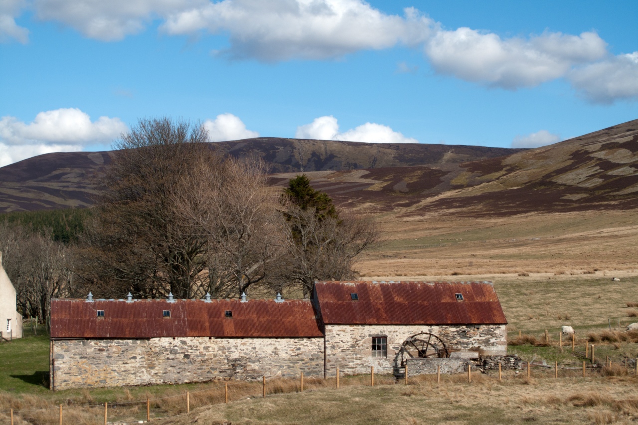The Real Jacobite Tour - Wild History and Whisky Tours